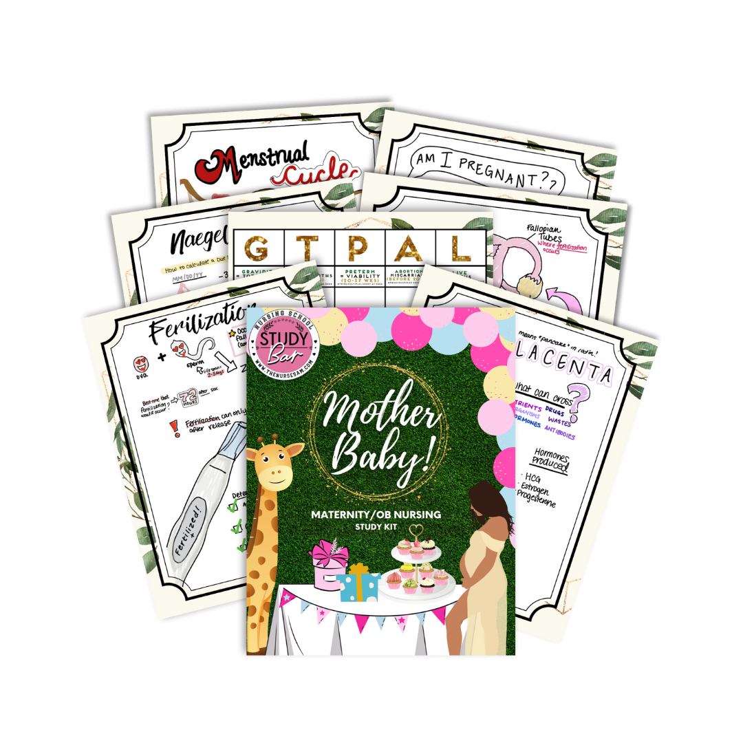 Maternity/OB Nursing Study Kit – The Nurse Sam